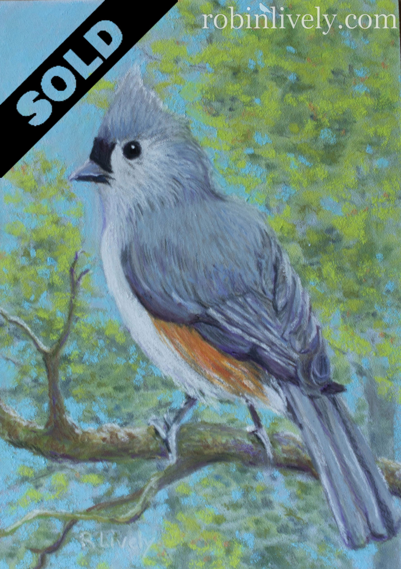 robin-lively-Tufted-Titmouse-sold – Robin Lively